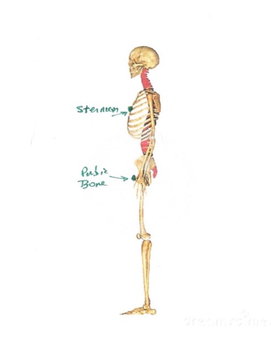 Sitting Well – 4 Simple Habits – Core Gymball